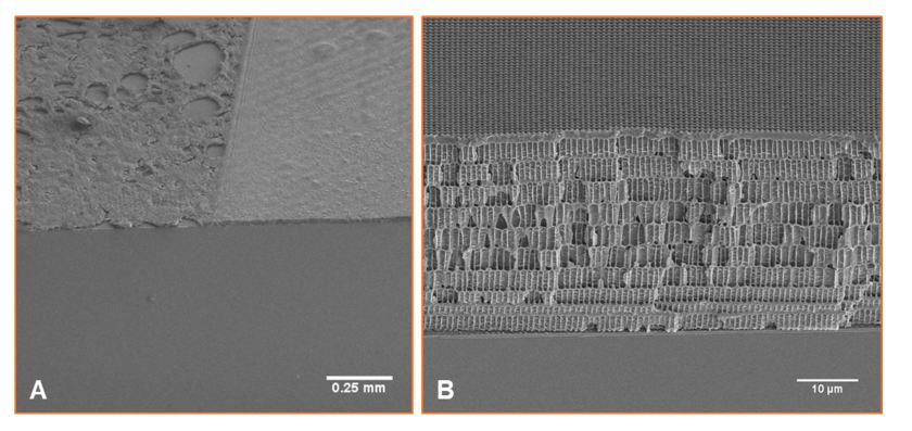 Large Area Patterning of Nanoarchitected Metamaterials via Metasurface ...