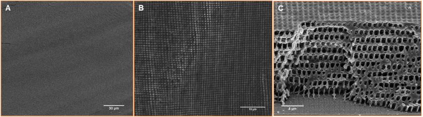 Large Area Patterning of Nanoarchitected Metamaterials via Metasurface ...