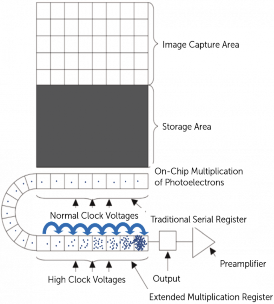 Removal of Cosmic Ray Impacts on the Roman Space Telescope Coronagraph ...